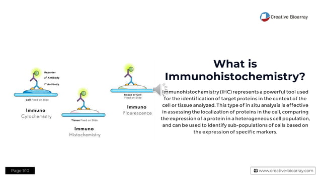 Multiplexing Immunohistochemistry: A Powerful Tool for Comprehensive Tissue Analysis | PPT