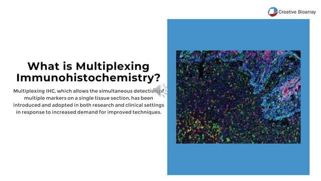 Multiplexing Immunohistochemistry: A Powerful Tool for Comprehensive Tissue Analysis | PPT