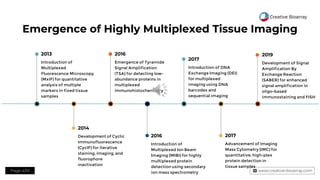 Multiplexing Immunohistochemistry: A Powerful Tool for Comprehensive Tissue Analysis | PPT