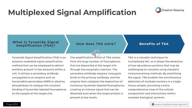 Multiplexing Immunohistochemistry: A Powerful Tool for Comprehensive Tissue Analysis | PPT