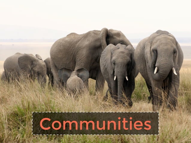 Structure and dynamics of multiplex networks: beyond degree correlations | PPT