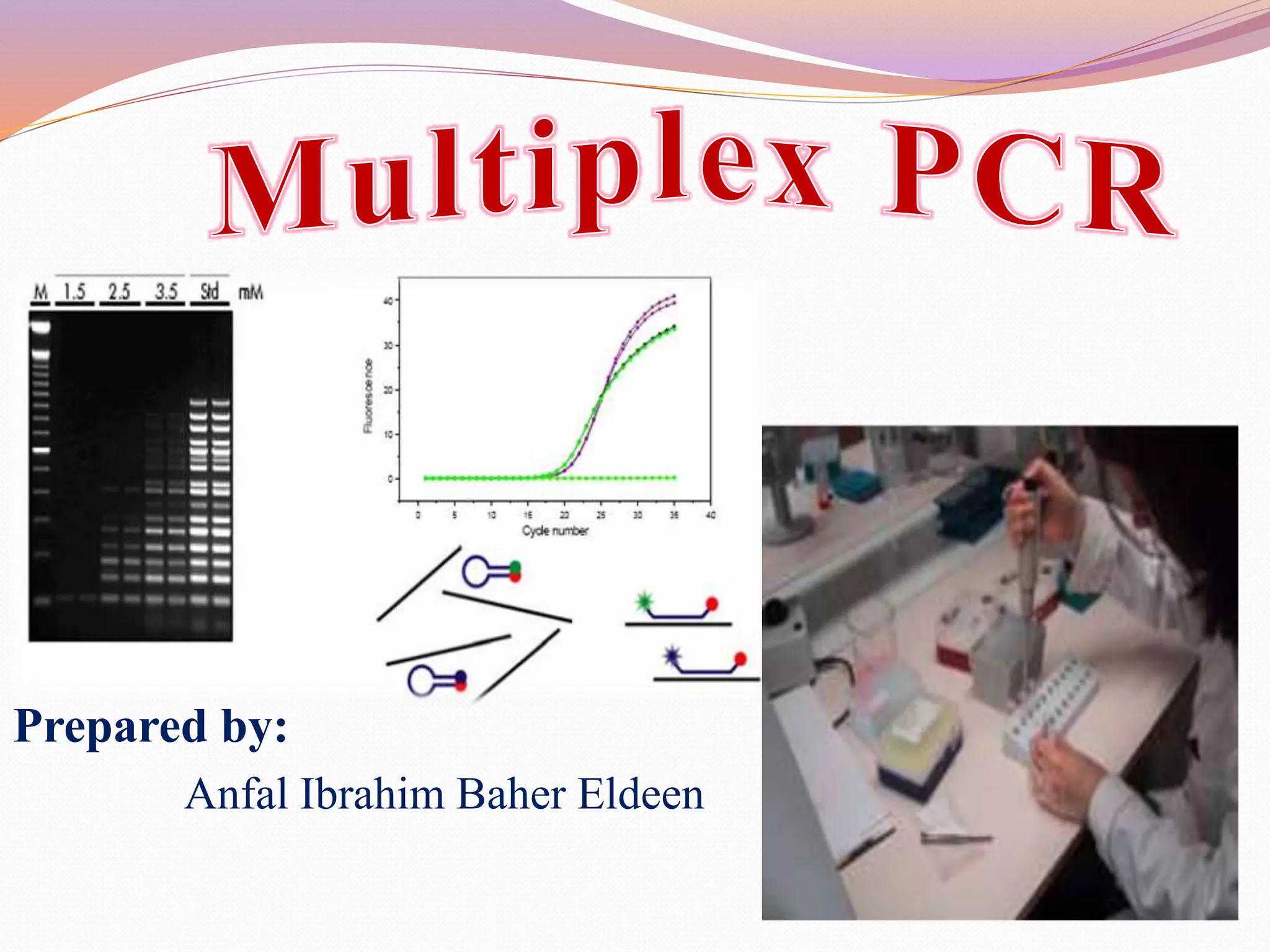 Multiplex pcr | PPTX Multiplex pcr | PPTX