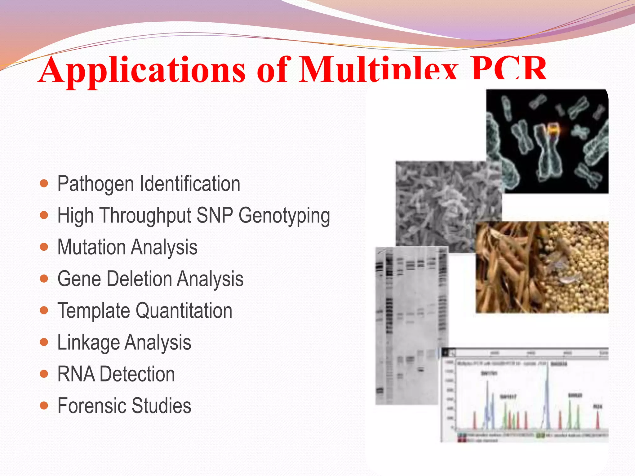 Multiplex pcr | PPTX