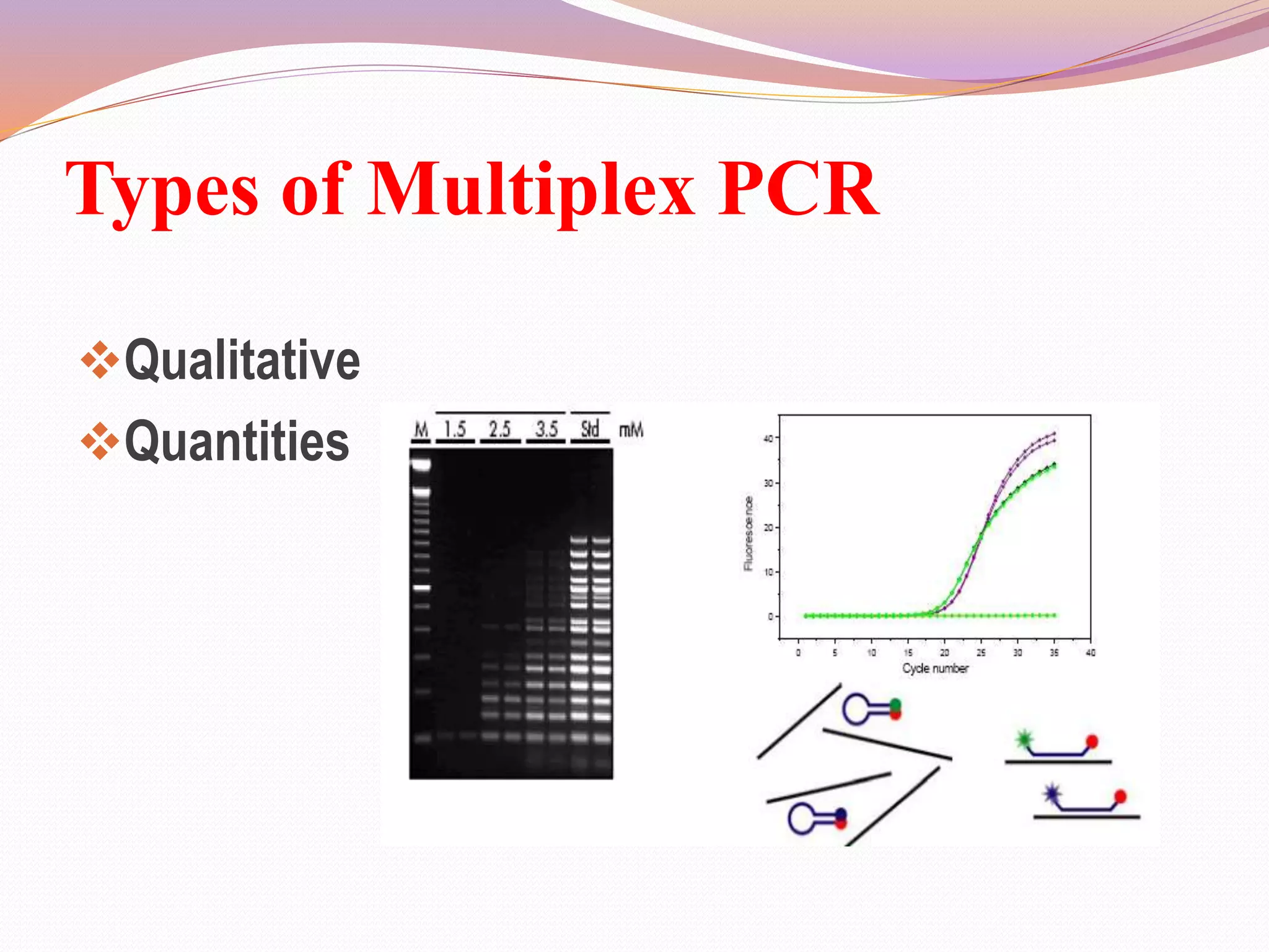 Multiplex pcr | PPTX