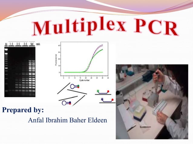 Multiplex pcr | PPTX