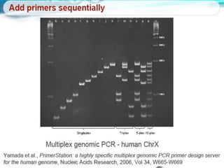 Multiplex pcr | PPTX