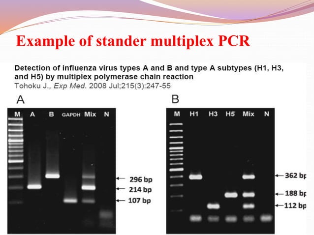 Multiplex pcr | PPTX