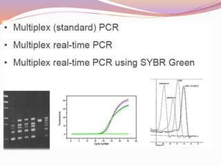 Multiplex pcr | PPTX