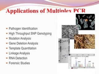 Multiplex pcr | PPTX