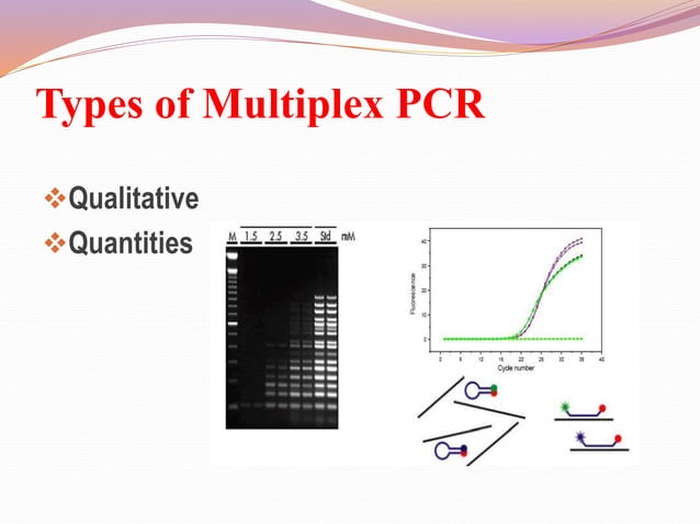 Multiplex pcr | PPTX