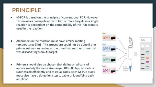 Multiplex PCR ppt , its types and their applications along with ...