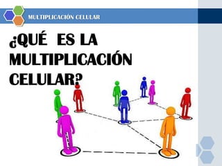 Multiplicación celular | PDF