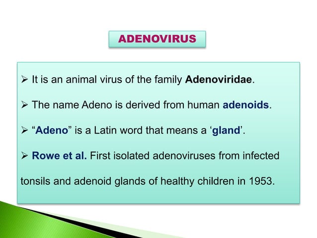 Stages involved in multiplication of Adenoviruses | PPT