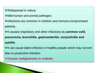 Stages involved in multiplication of Adenoviruses | PPT