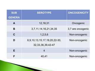Stages involved in multiplication of Adenoviruses | PPT