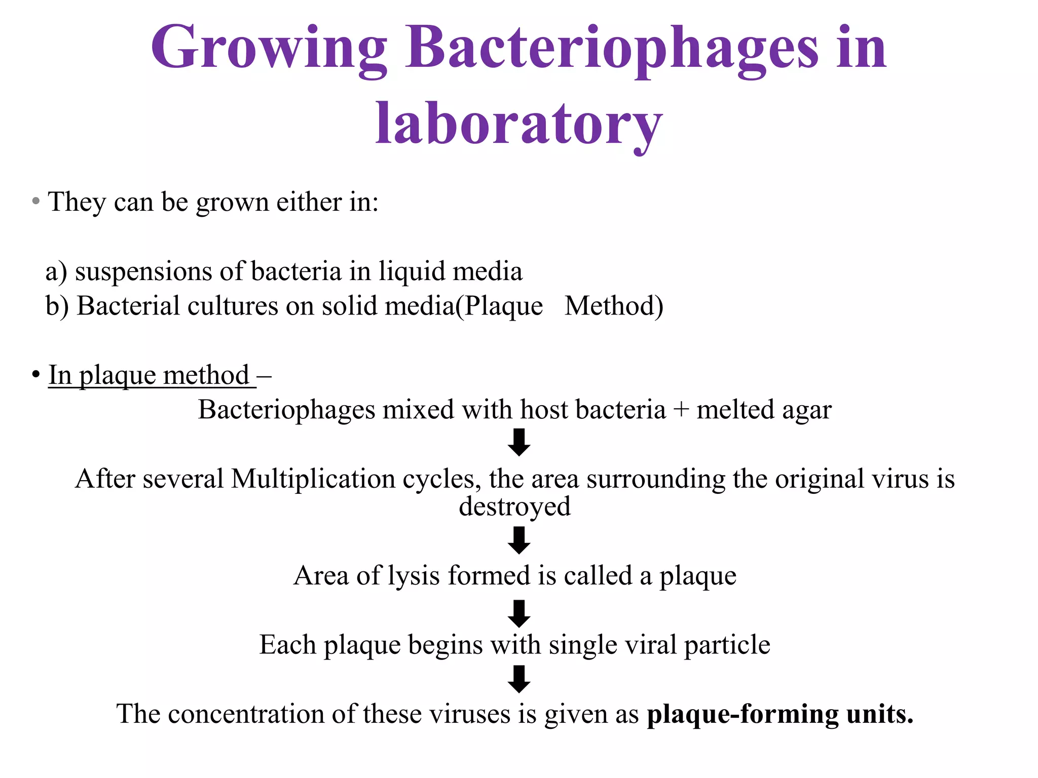 Multiplication of bacteriophages | PPTX