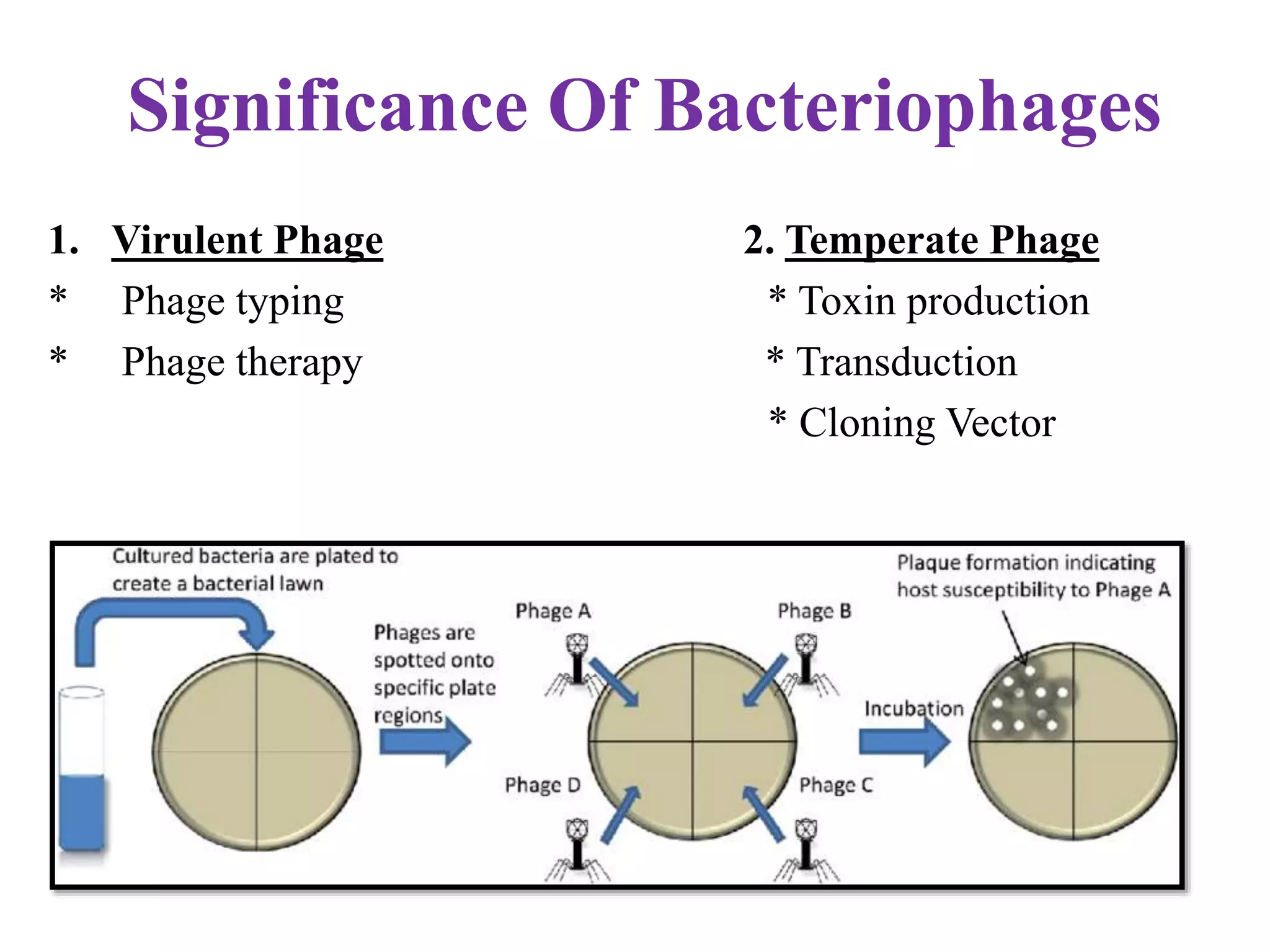 Multiplication of bacteriophages | PPTX