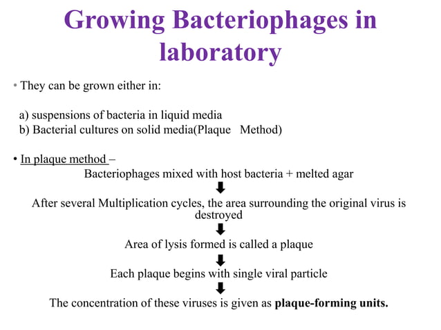Multiplication of bacteriophages | PPTX