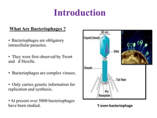 Multiplication of bacteriophages | PPTX