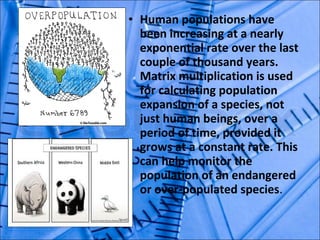 Multiplication of matrices and its application in biology | PPT