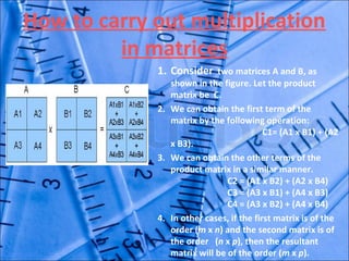 Multiplication of matrices and its application in biology | PPT