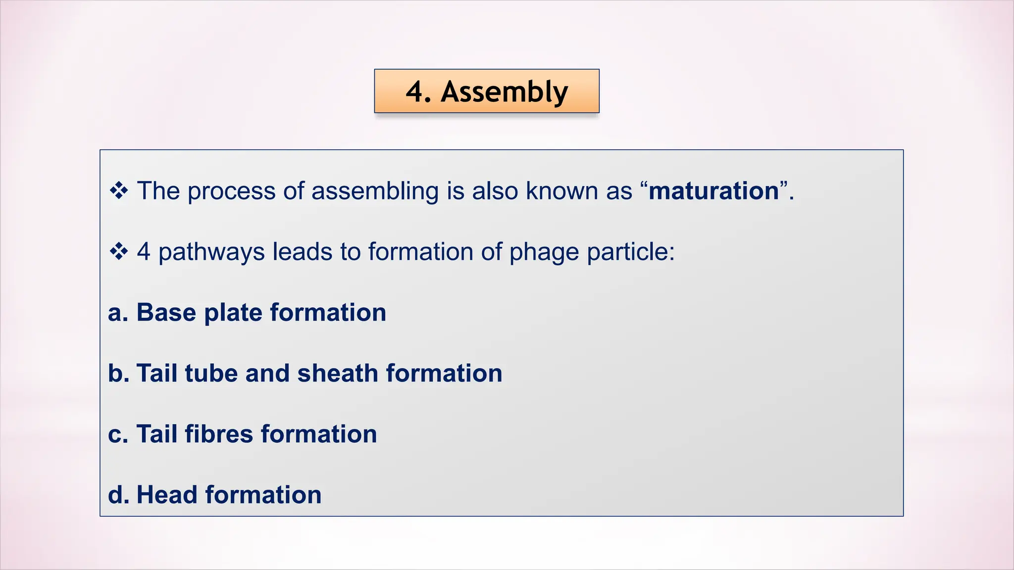 Stages in multiplication of T4 bacteriophage.PPT