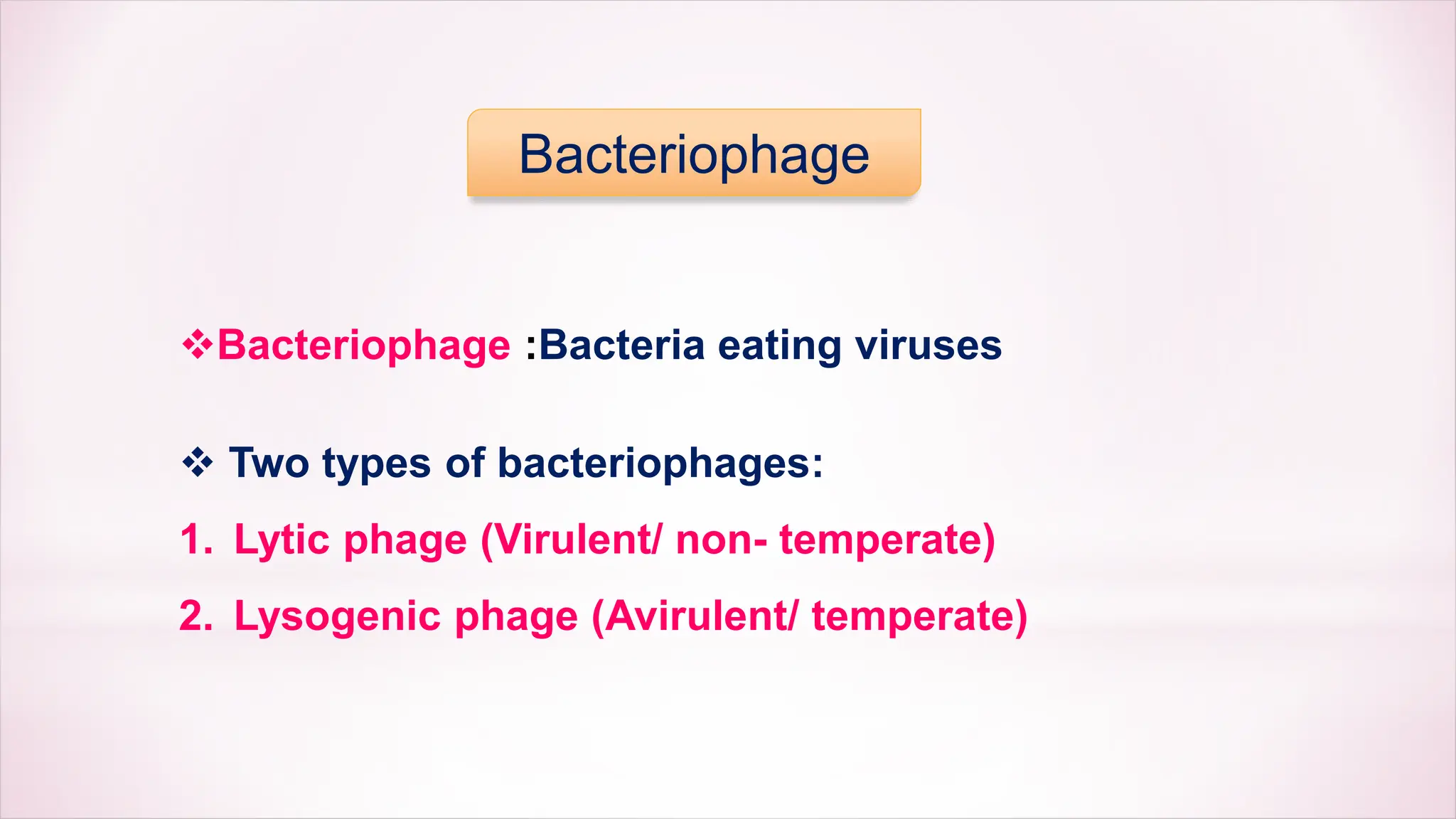 Stages in multiplication of T4 bacteriophage.PPT
