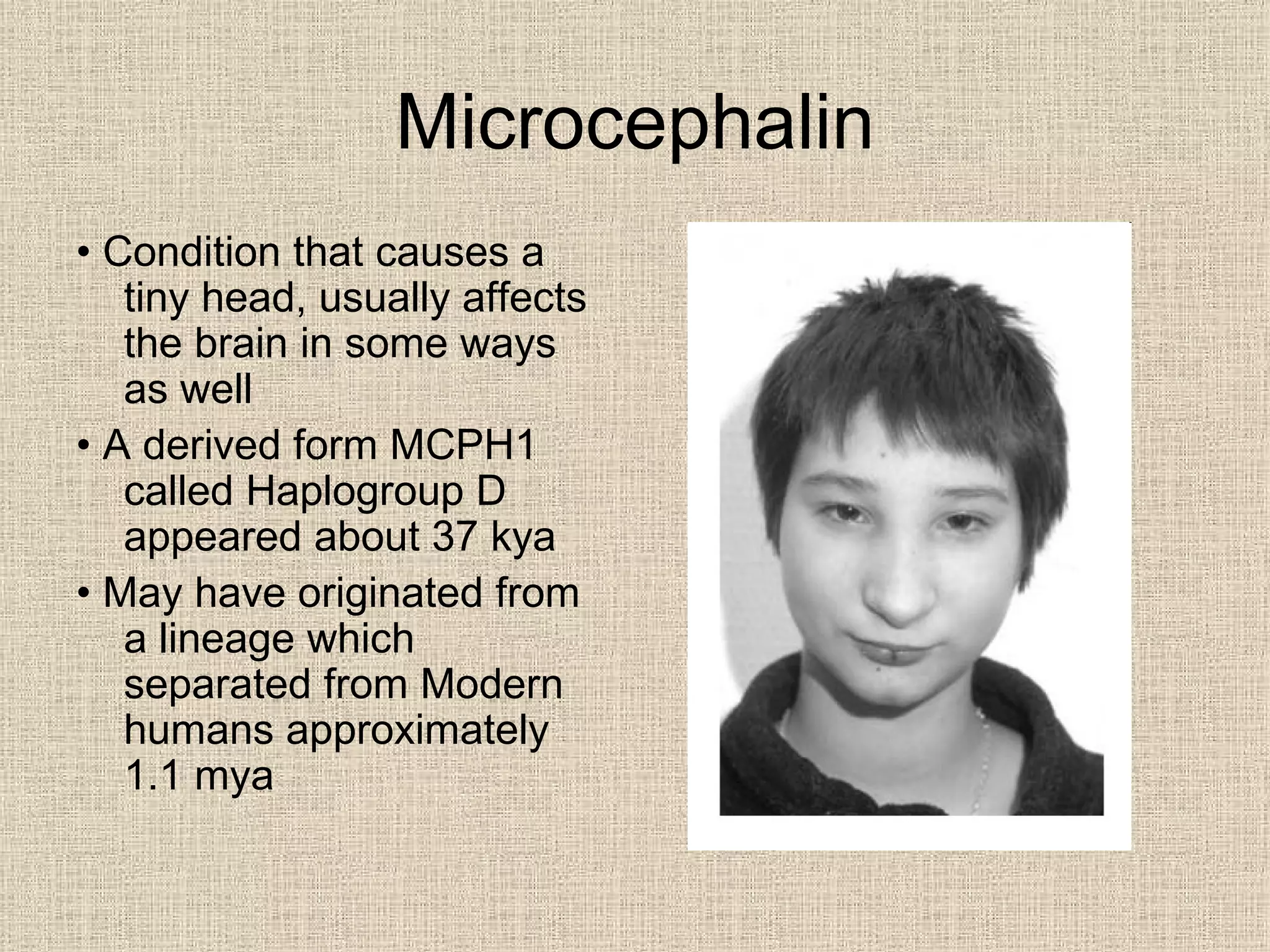 Multiregional Evolution Katina | PPT