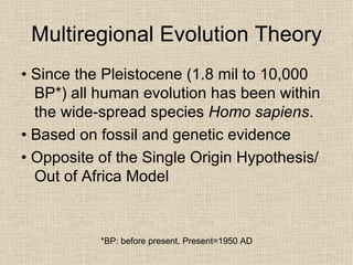 Multiregional Evolution Katina | PPT