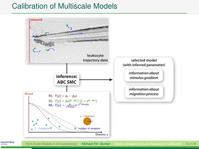 Multi-Scale Models in Immunobiology | PPT