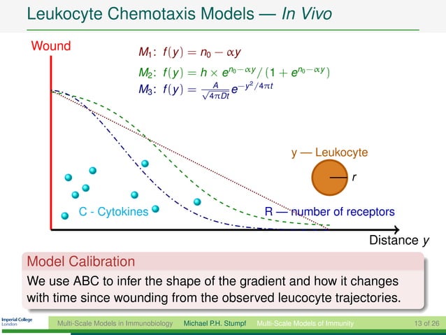 Multi-Scale Models in Immunobiology | PPT