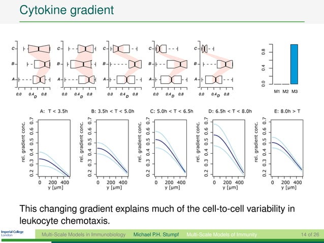 Multi-Scale Models in Immunobiology | PPT