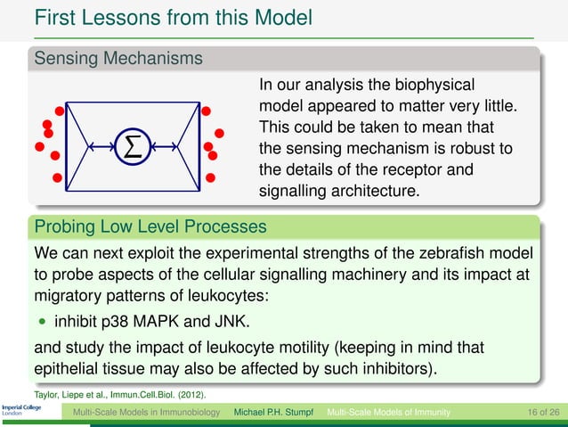 Multi-Scale Models in Immunobiology | PPT