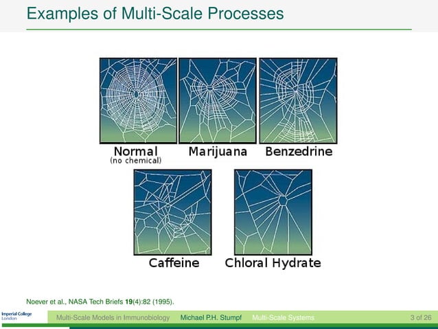 Multi-Scale Models in Immunobiology | PPT