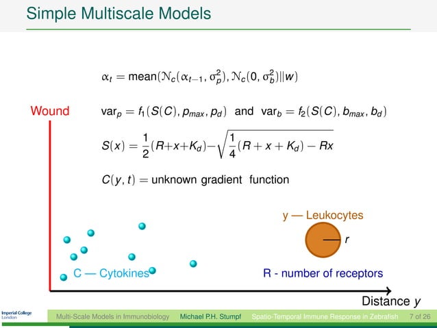 Multi-Scale Models in Immunobiology | PPT