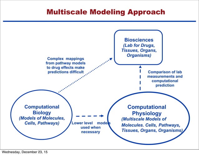 2006 Multiscale modeling and simulation for drug development and ...