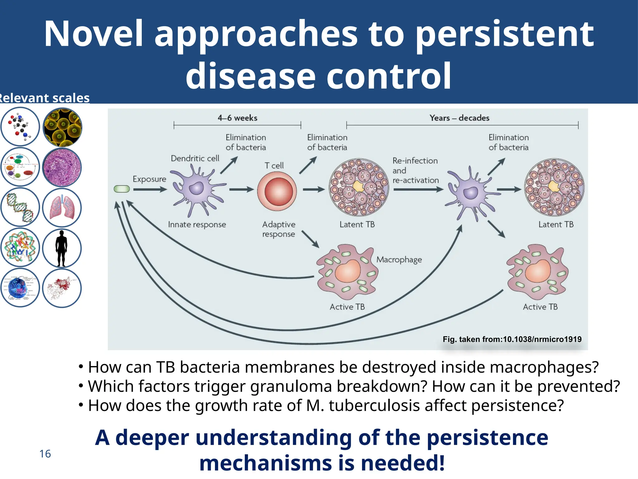Multiscale Modeling of Complex Bio-chemical Systems | PPT
