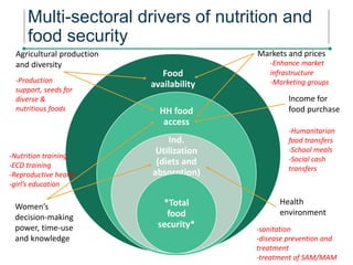 Multi-Sectoral linkages to improve diet, nutrition and food security ...