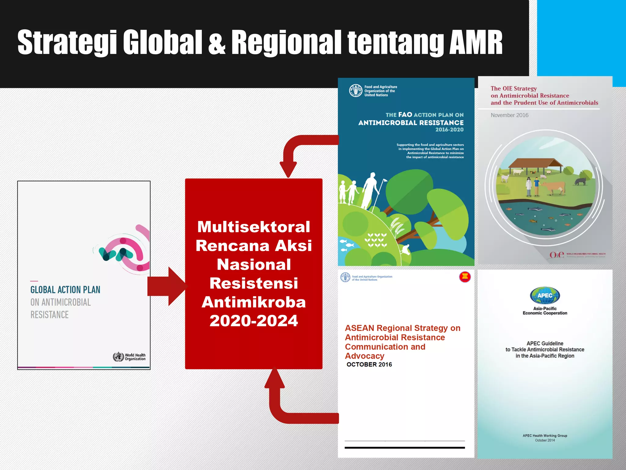Konsep Multisektor Rencana Aksi Nasional Pengendalian Resistensi ...