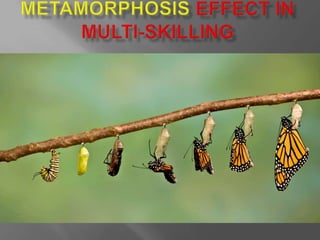 Multi –skilled workforce slide (2) | PPTX