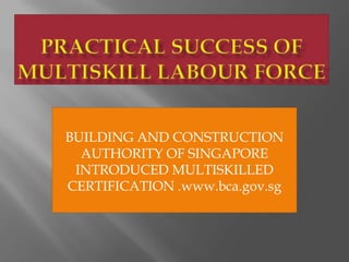 Multi –skilled workforce slide (2) | PPTX
