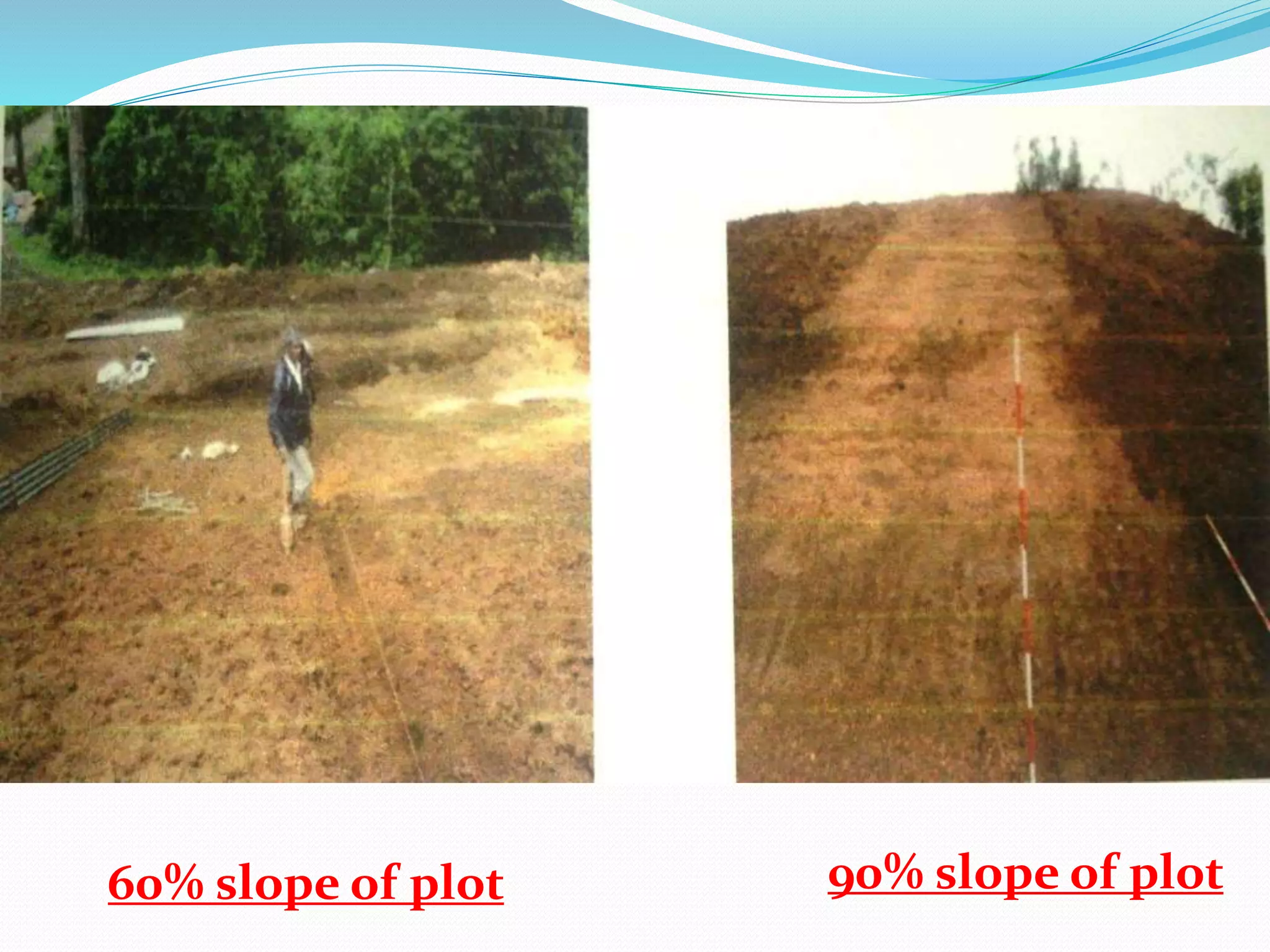 Multi slot divisor | PPTX