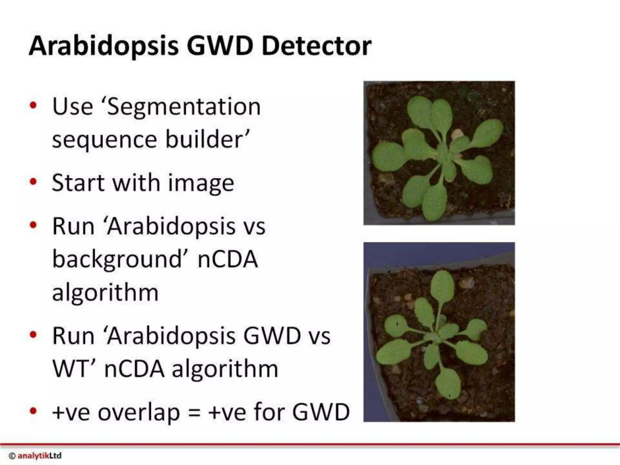 Multispectral imaging in Plant Sciences with VideometerLab 3 | PDF