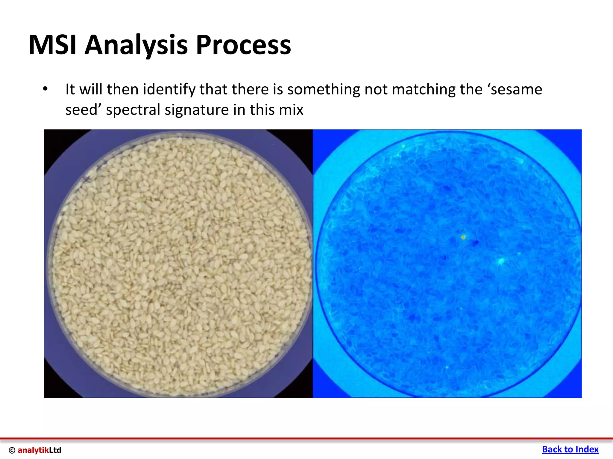 Multispectral Imaging of Grains and Seeds with VideometerLab 3 | PDF
