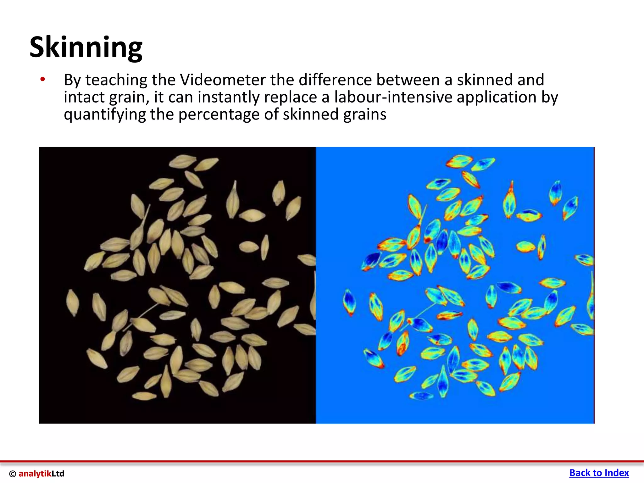 Multispectral Imaging of Grains and Seeds with VideometerLab 3 | PDF