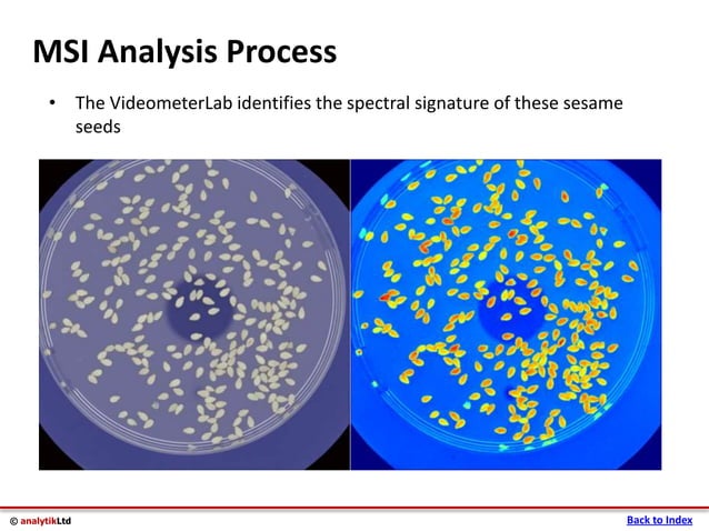 Multispectral Imaging of Grains and Seeds with VideometerLab 3 | PDF