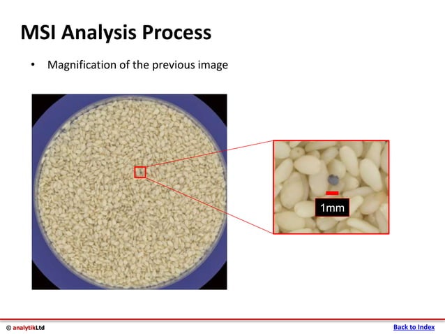 Multispectral Imaging of Grains and Seeds with VideometerLab 3 | PDF