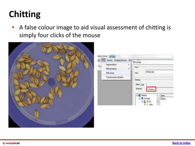 Multispectral Imaging of Grains and Seeds with VideometerLab 3 | PDF