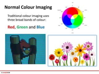 Multispectral Imaging of Grains and Seeds with VideometerLab 3 | PDF