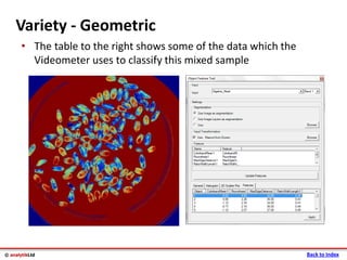 Multispectral Imaging of Grains and Seeds with VideometerLab 3 | PDF